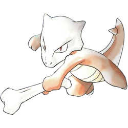 Bone Club - A Private Pokémon TCG Collection